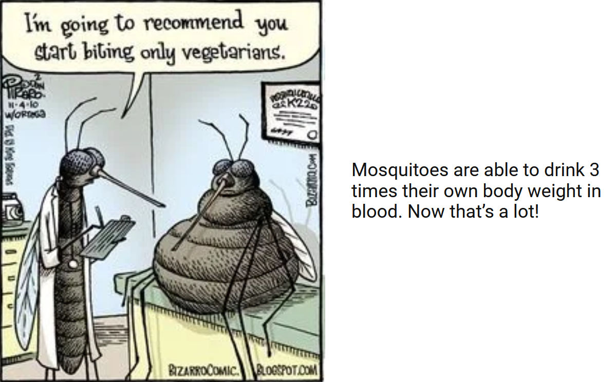 Mosquitoes are Greedy – Rijju's Runway